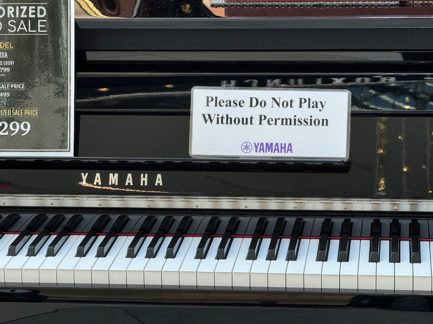 Please Do Not Play Without Permission